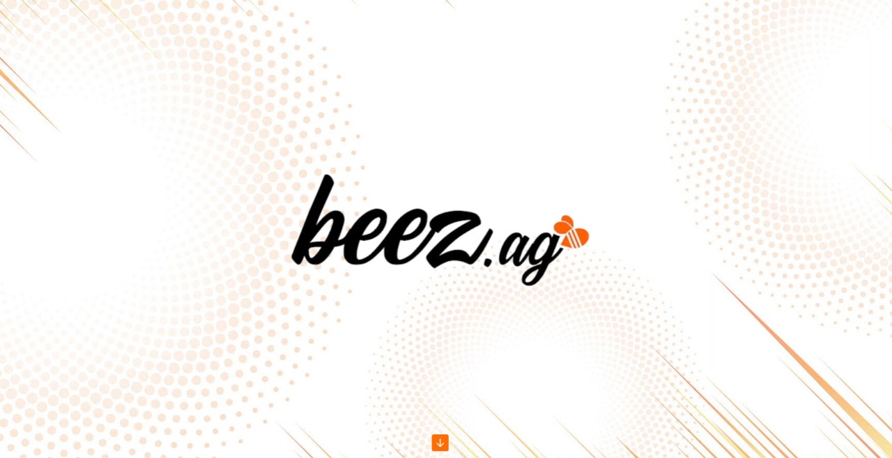 Beez.ag | Sua Agência de Eventos corporativos